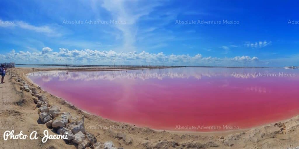 Las Coloradas Pink Lakes in Rio Lagartos Yucatan