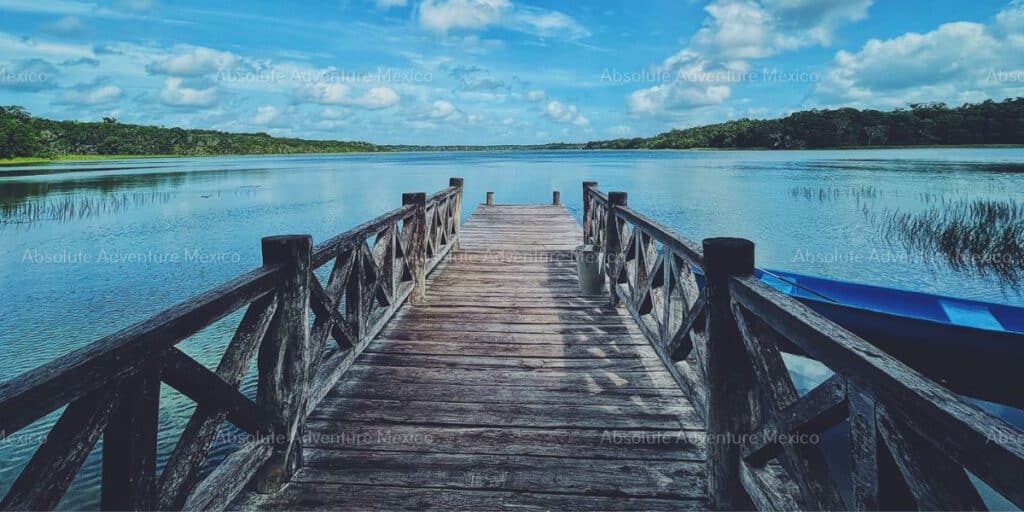 Punta Laguna National Park – Protected Monkey Sanctuary