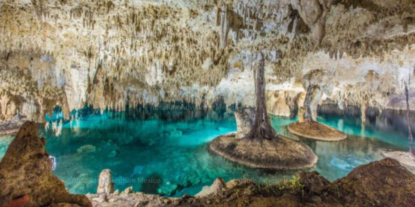Unveiling Mexico's Cenotes: Exploring the Natural Wonders.