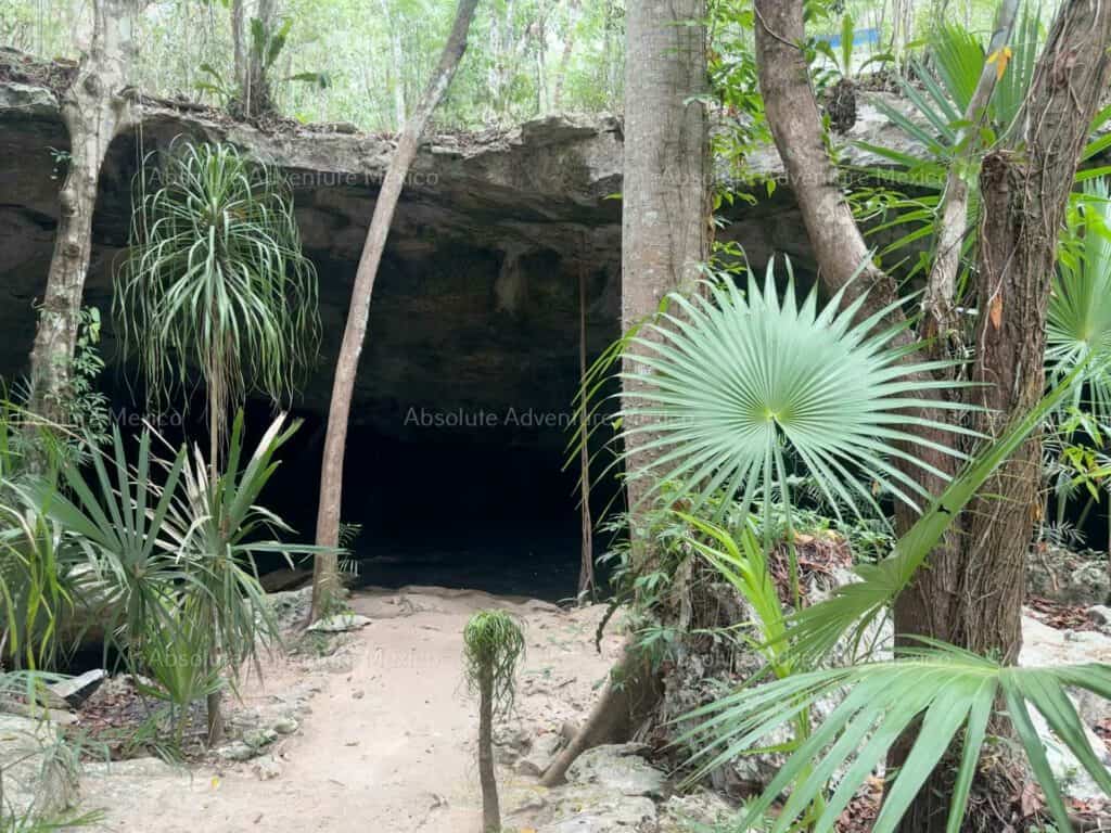 Cenote Chikin-Ha, explore 3 cenotes in one location.