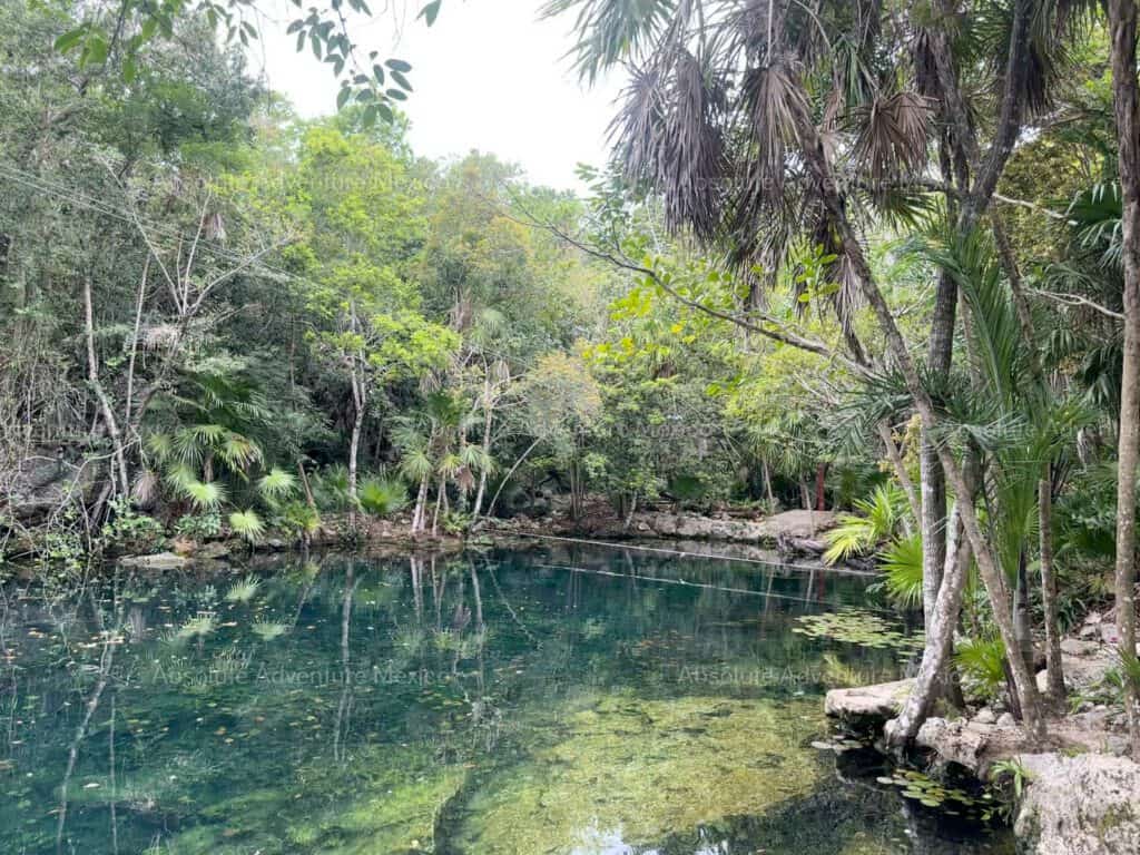 Cenote Chikin-Ha, explore 3 cenotes in one location.