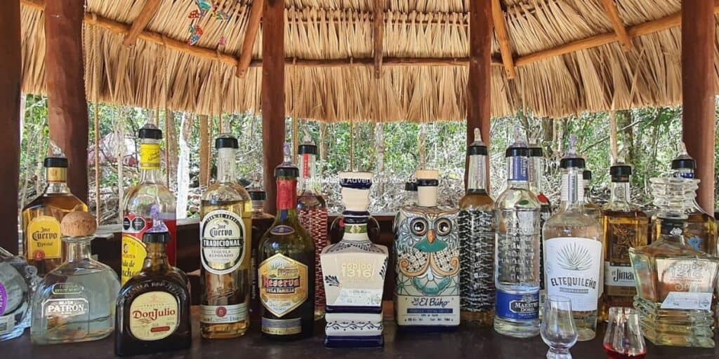 Tequila Tour Playa del Carmen & Tulum – Private Jungle Tasting